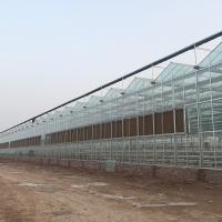 China Vegetable Fruits Flowers Glass Agriculture Greenhouse with Inside Outside Shading for sale