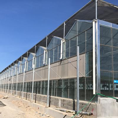 China Large Size Transparent Glass Greenhouse Super Strong Resistance and Hydroponics System for sale