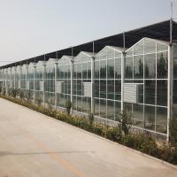 China Large Size Transparent Glass Greenhouse Super Strong Resistance and Hydroponics System for sale