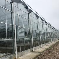 China Large Agricultural Glass Greenhouse with Advanced Hydroponics System and Glass Cover for sale