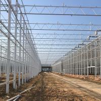 China Large Agricultural Glass Greenhouse with Advanced Hydroponics System and Glass Cover for sale