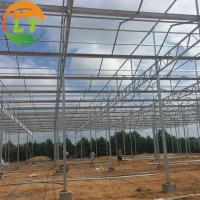 China Glass Covered Cooling Pad Fan System Greenhouse for Large Agricultural Strawberry Farming for sale