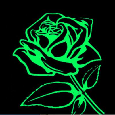 China Glow in The Dark Powder Fine Pigment Powder luminous powder for sale