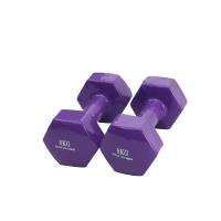 China 4kg Cast Iron Free Weight Exercise Equipment Neoprene Or Vinyl Dumbbell for sale