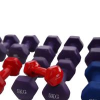 China 4kg Cast Iron Free Weight Exercise Equipment Neoprene Or Vinyl Dumbbell for sale