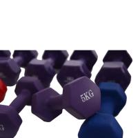China 4kg Cast Iron Free Weight Exercise Equipment Neoprene Or Vinyl Dumbbell for sale