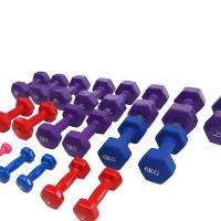 China 4kg Cast Iron Free Weight Exercise Equipment Neoprene Or Vinyl Dumbbell for sale