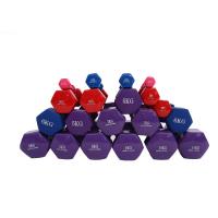 China Vinyl Neoprene Coated Adjustable Dumbbell Set , Unisex 6kg Dumbbell Set for sale