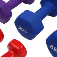 China Vinyl Neoprene Coated Adjustable Dumbbell Set , Unisex 6kg Dumbbell Set for sale