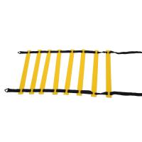 China 6Rungs 10m Soccer Training Equipment Soccer Training Ladder for sale