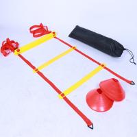 China 6Rungs 10m Soccer Training Equipment Soccer Training Ladder for sale