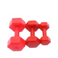 China OEM 10kg Plastic Cement Power Training Dumbbells Colorful for sale