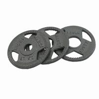 China Plating Coated 5kg Barbell Plates , Dia395mm Cast Iron Gym Plates for sale