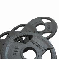 China Plating Coated 5kg Barbell Plates , Dia395mm Cast Iron Gym Plates for sale