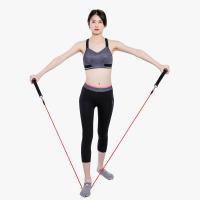 China TPE 11 Piece Resistance Band Set , 10LB Portable Pilates Bar Kit for sale