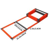 China Muti Functional Agility Training Speed Ladder 5.5 Meters 11 Rungs Agility Ladder for sale