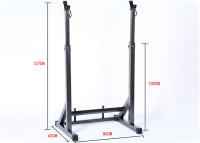 China Steel 200kg H160cm Gym Squat Rack Body Building Push Up Muscle Rack for sale