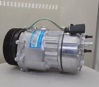China Auto AC Compressor for Golf 1.6L 1999-2005 A3 1.6L 1999-2006 1JE820803 for sale
