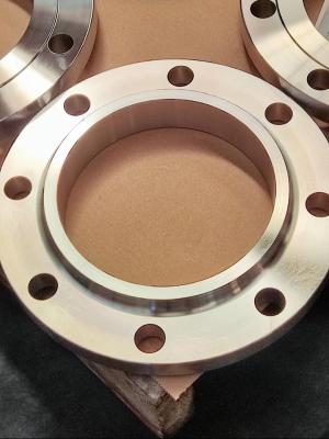 China ANSI Stainless Steel Loose Flange 1/2