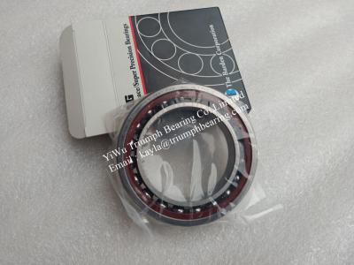 China FAG B7013E T P4S UL High Precision Angular Contact Ball Bearing 65x100x18mm for sale