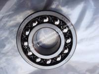 China Self-aligning ball bearing  2309K ,1201ETN9/C3 ,2219/C3 for sale