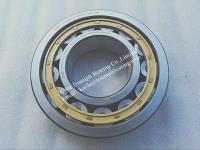China Cylindrical Roller Bearing F-803675.ZL FAG Germany 30.7x58x19.5mm High Precision for sale