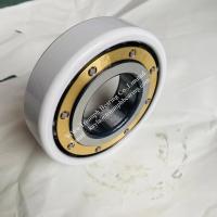 China FAG Insocoat Deep Groove Ball Bearing 6310-M-J20AA-C3 50mm Bore 110mm OD Electric Motor Grade for sale