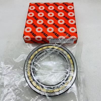 China FAG   Cylindrical Roller Bearing   NU1022-XL-M1-C3 for sale