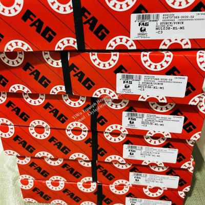 China FAG  Cylindrical Roller Bearing NU1038-XL-M1-C3 for sale