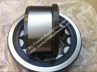 China FAG NJ2319E TVP2 Cylindrical Roller Bearing 95x200x67mm High Load Capacity for sale