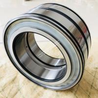 China INA Full complement   cylindrical roller bearing SL045026-PP-RR-C3-GA22 for sale