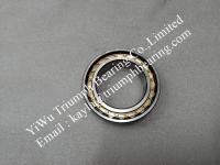 China FAG Cylindrical Roller Bearing N1010K.M1.SP for sale