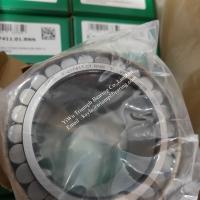 China INA double -row full complement cylindrical roller bearing without cup F-217411.01.RNN for sale