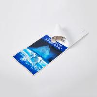 China Custom Self Adhesive Label Sticker Fixed Transparent Digital LOGO for sale