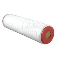 China 10 Inch 0.1um  0.22um Removal 69mm PP Pleated Filter Cartridge for sale