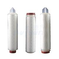 China Beverage Filtration 0.2 0.45 10um Nylon PTFE PP Membrane Cartridge Filter for sale