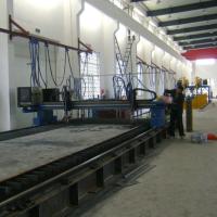 China Aluminum CNC Plasma And Flame Cutting Machine With Nine Strip Cutting Torches for sale