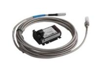 China PR6424/000-100 EPRO M18x1.5 Without Armored Cable Without Adaptor Plug Lemo for sale
