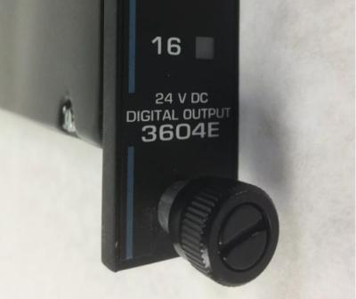 China 3604E Invensys TRICONEX Digital Output Module for sale