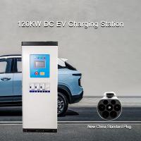 China 120kW EV DC Fast Charging Station 94% Efficiency IP54 GB/T with Payment System for sale
