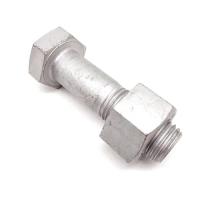 China Hot Dip Galvanized High Tensile Hex Bolt for sale
