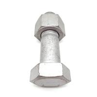 China Hot Dip Galvanized High Tensile Hex Bolt for sale