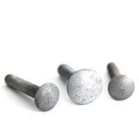 China Grade 10.9 Hot Dipped Galvanized Carriage Bolt M10 for sale