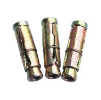 China Heavy Duty Yellow Zinc Fix Bolt Class 8.8 Shield M8 Hex Sleeve Anchor for sale