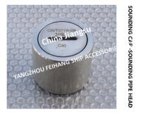 China Stainless Steel Sounding Pipe Head Measuring Pipe Head Sounding Injection Head Model C50 Cb/T3778-99 for sale