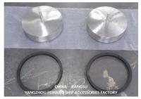 China Floater For Aft Ballast Air Vent Head Model DS-350A Maker Yangzhou Feihang Ship Accessories Factory for sale