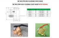 China Thread Connection CB Design NS NO.37N-40 Self Closing Gate Valve for Ship Accessory for sale