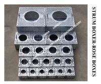 China Stainless Steel Filter Rose Box For Bilge Line FH-100A JIS F7206 Mesh 10mm for sale