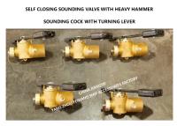 China DN50A CB/T3778-99 SOUNDING COCK WITH TURNING LEVER China Sounding Self-Closing Valve Supplier - FeiHang Marine for sale