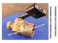China SELF-CLOSING SOUNDING PIPE COCK & SELF-CLOSING SOUNDING PIPE VALVE MODEL DN65 CB/T3778-99 for sale
